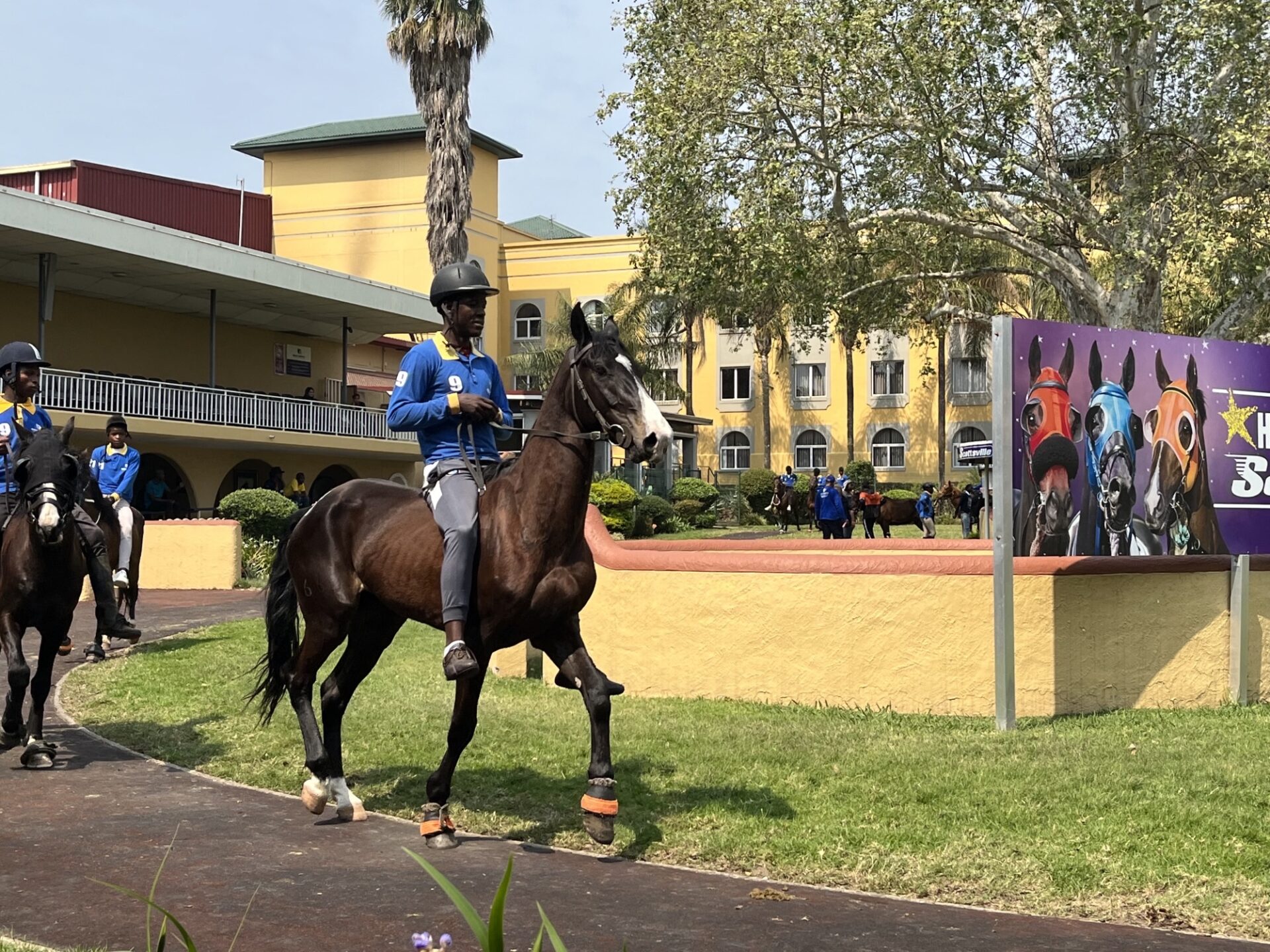 Horse Racing Sponsorship - Hollywood Foundation sponsors Umtelebhelo ...